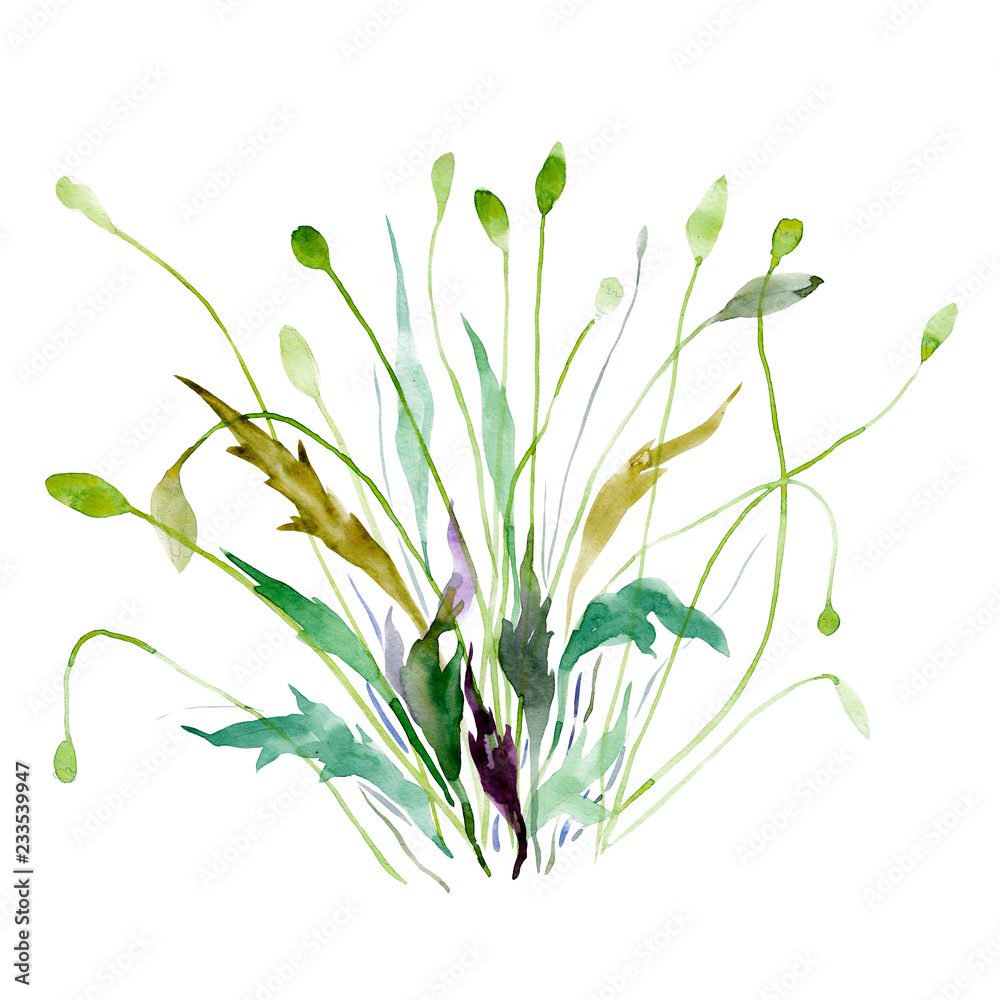 Flower bush. Watercolor hand drawn illustration. Object isolated on ...