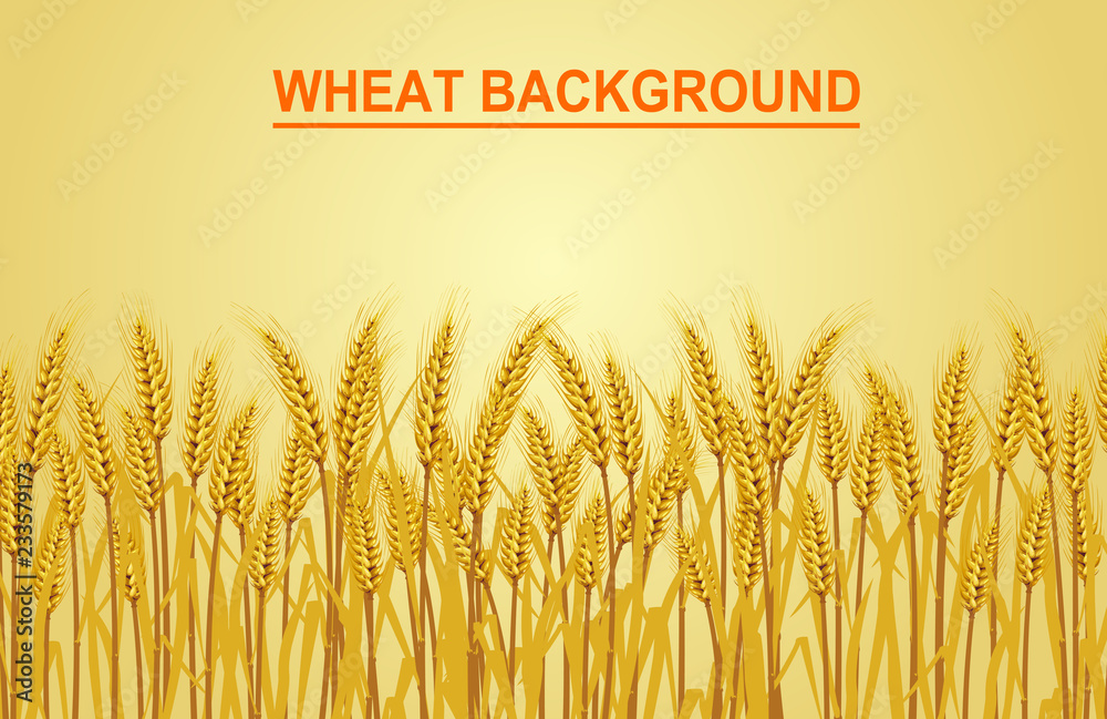 Wheat on the yellow background in the left hand corner has space for ...