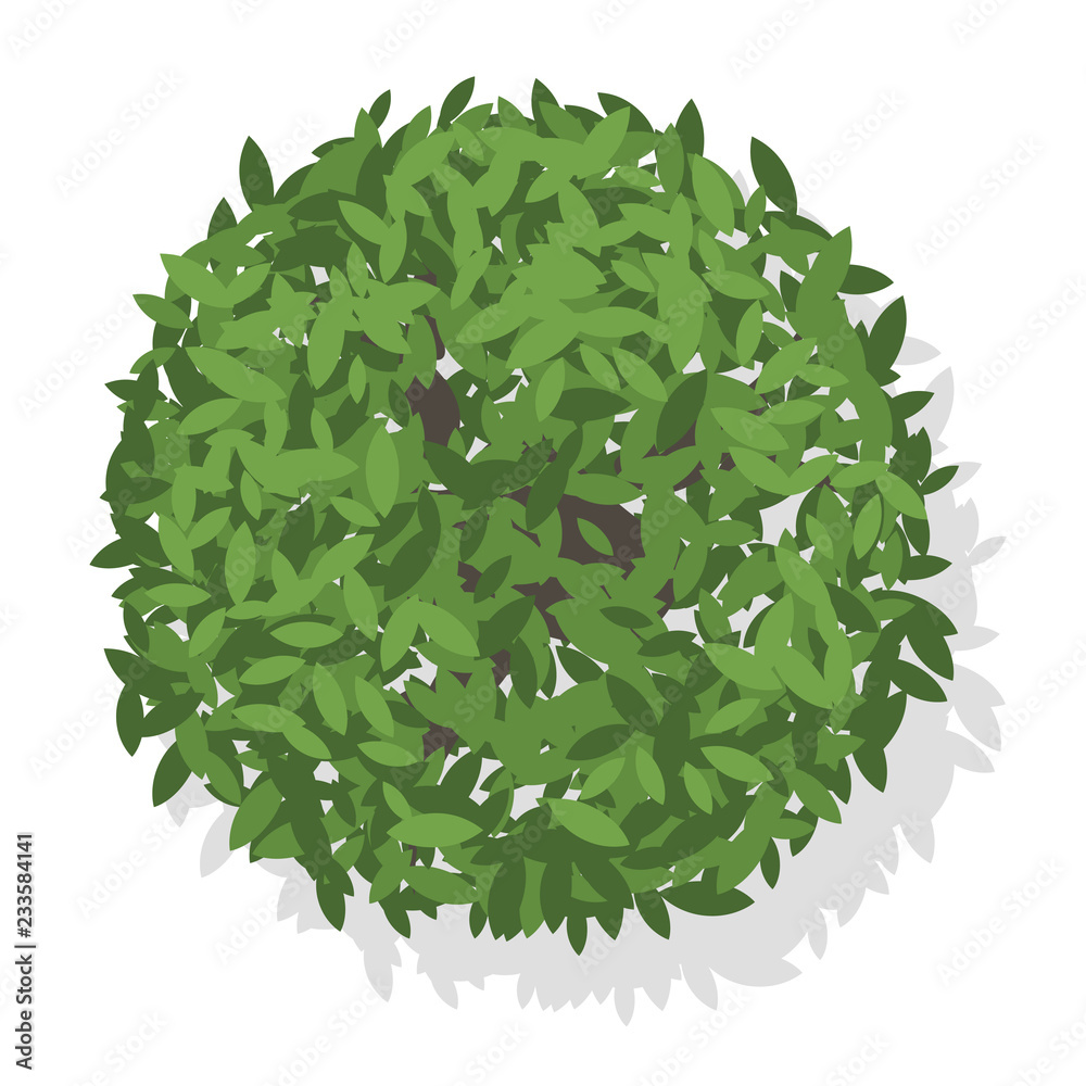 Vector tree top view Stock Vector | Adobe Stock