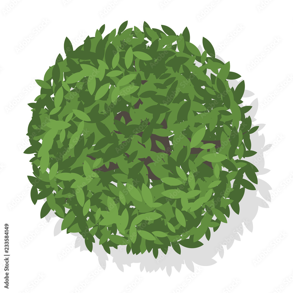 Vector tree top view Stock Vector | Adobe Stock