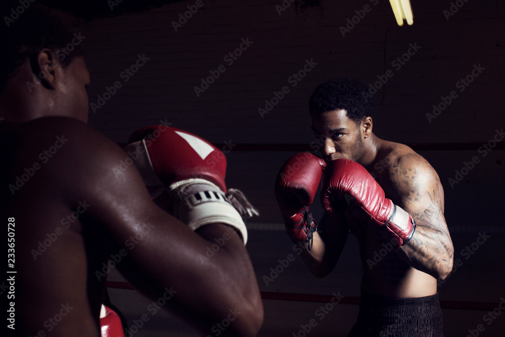 Men fighting in boxing ring Stock Photo | Adobe Stock