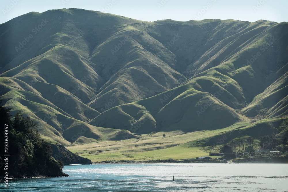 Background image of the green rolling hills of New Zealand through the ...