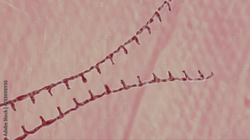 Full PCR cycle complete polymerase chain reaction real time pcr taq ...