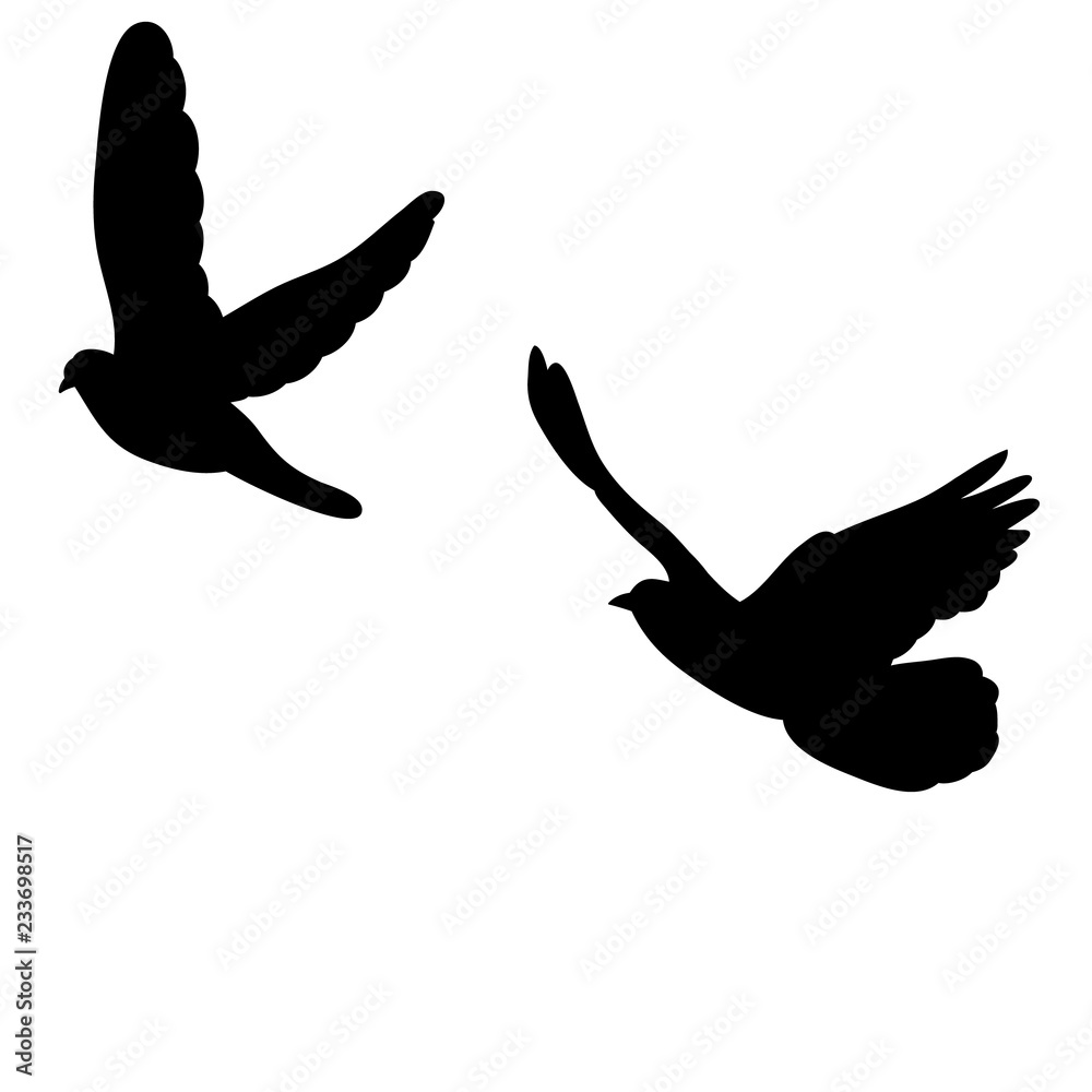 Dove In Flight Silhouette