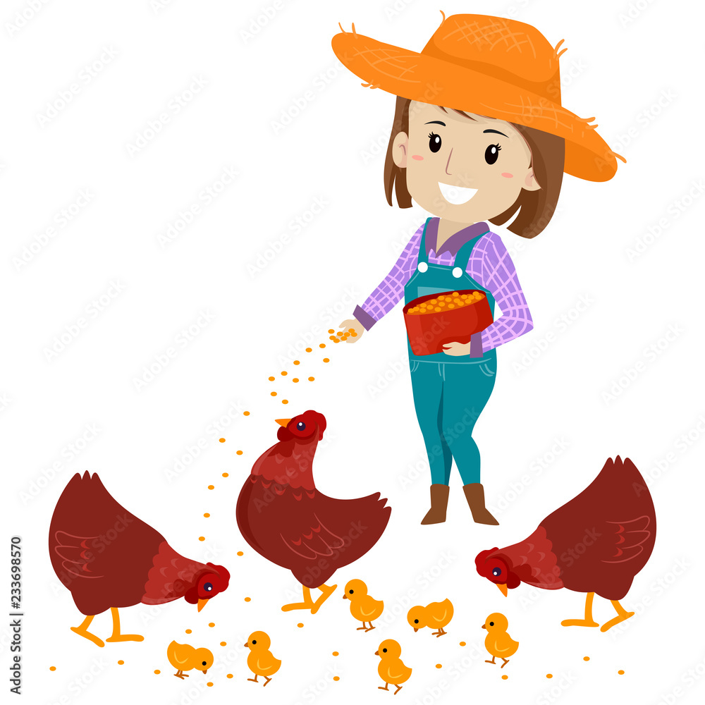Feeding Chickens Clipart