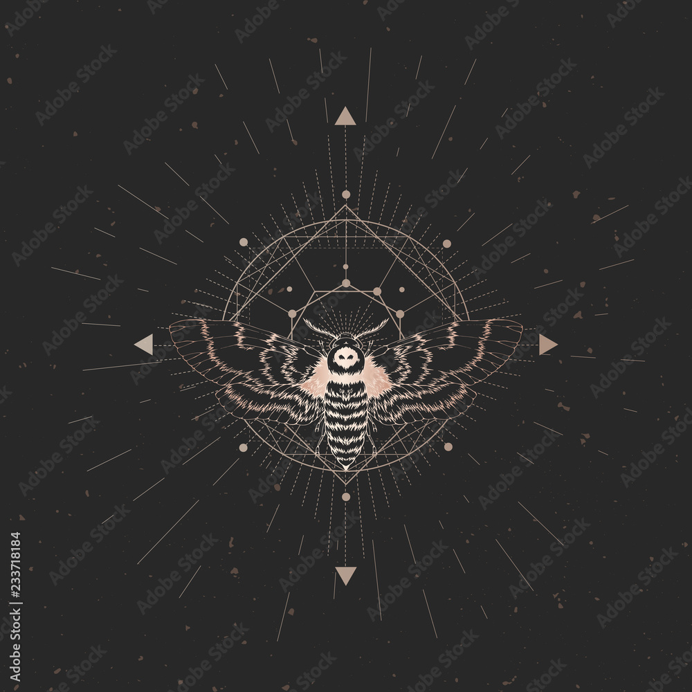 Vector illustration with hand drawn dead head moth and Sacred geometric ...
