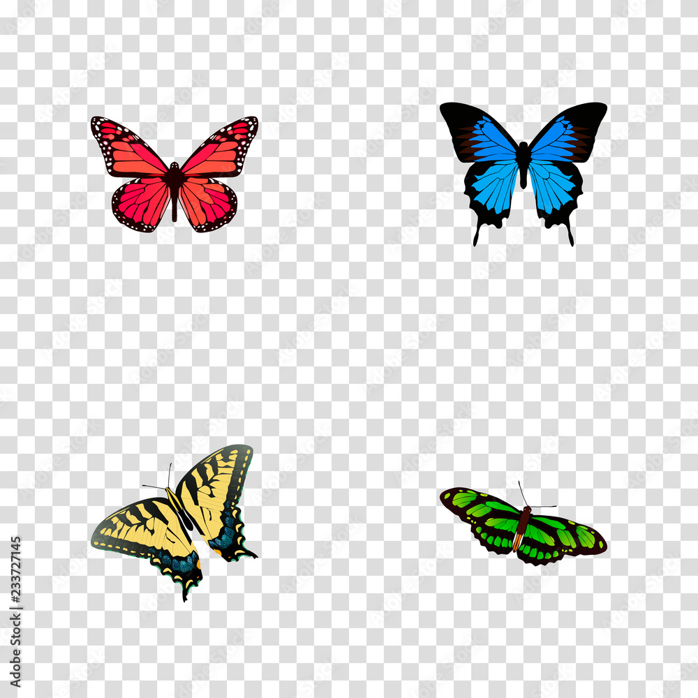 Set of butterfly realistic symbols with pink-wing, birdwing ...