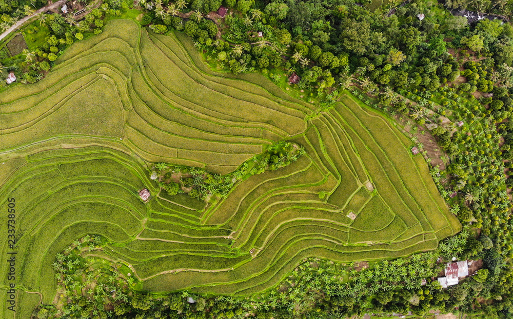 Indonesian Rice Paddies, Rice Shelf, Rice terrace, Stacked rice fields ...