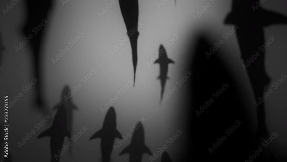4K Shark Silhouettes Passing Overhead. Realistic CGI animation. Stock ...
