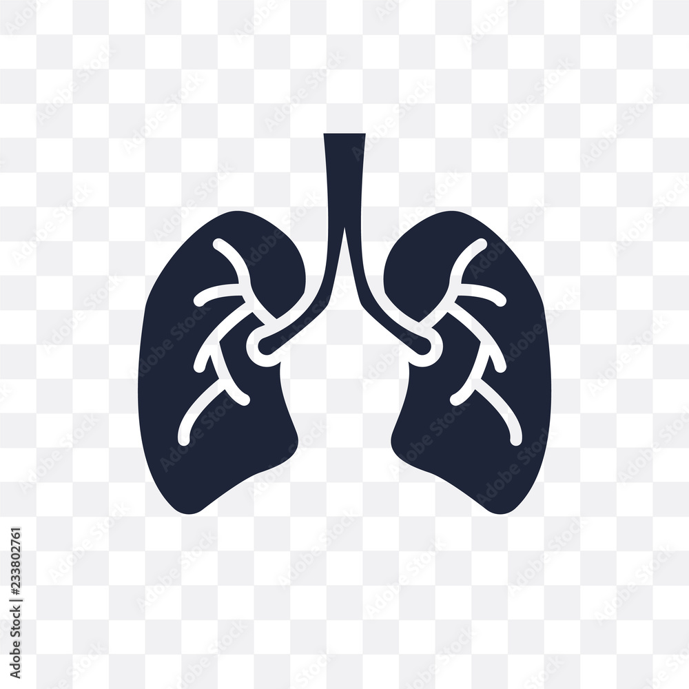 Human Lungs transparent icon. Human Lungs symbol design from Human Body ...
