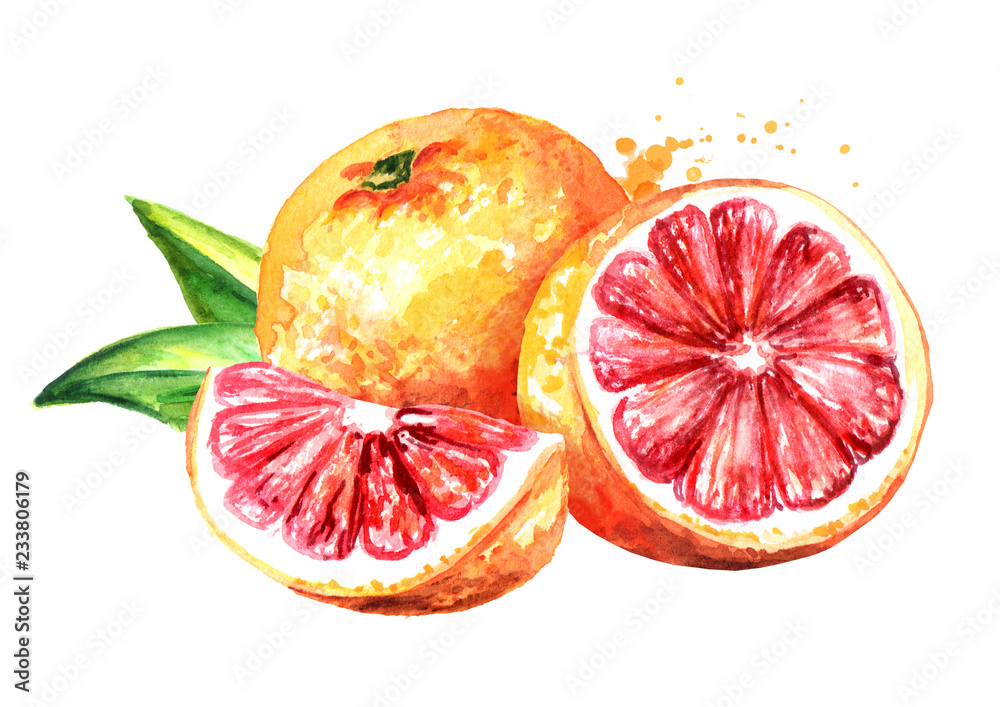 Fresh juicy grapefruit with half and slice. Watercolor hand drawn ...