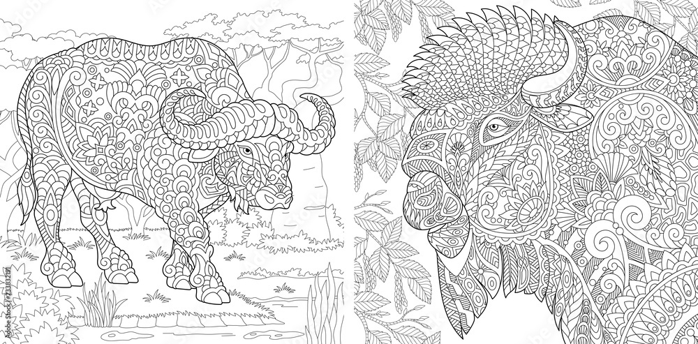 Coloring pages with buffalo and bison Stock Vector | Adobe Stock
