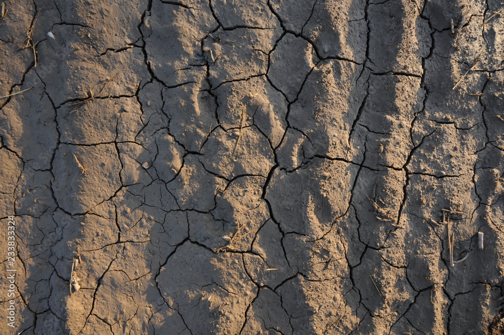 tierrra, arido, barro, lodo, textura, agrietado, viejo, paisaje, formas ...