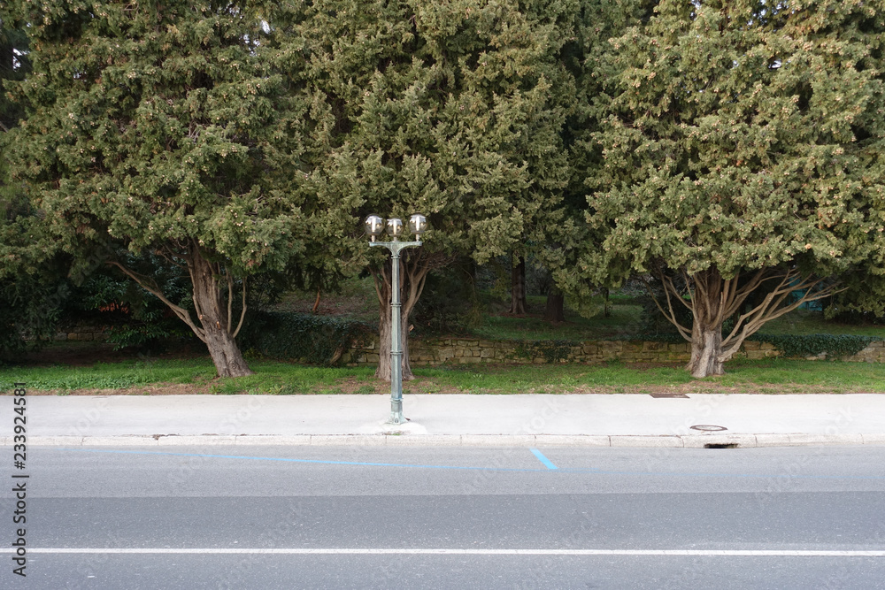 Road And Sidewalk Background