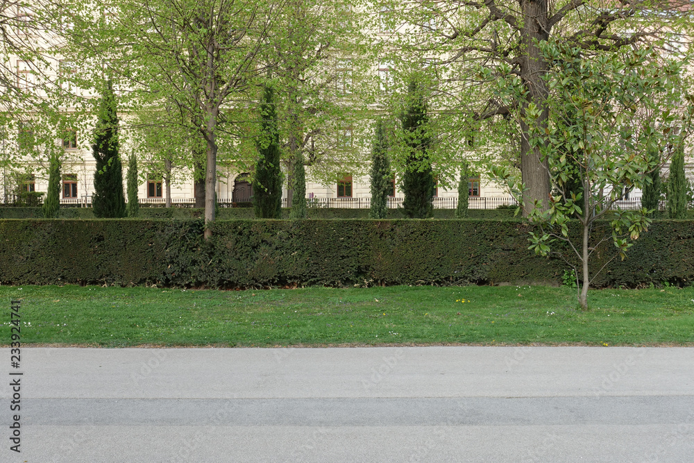 Road side view. Street greenery environment. Stock Photo | Adobe Stock