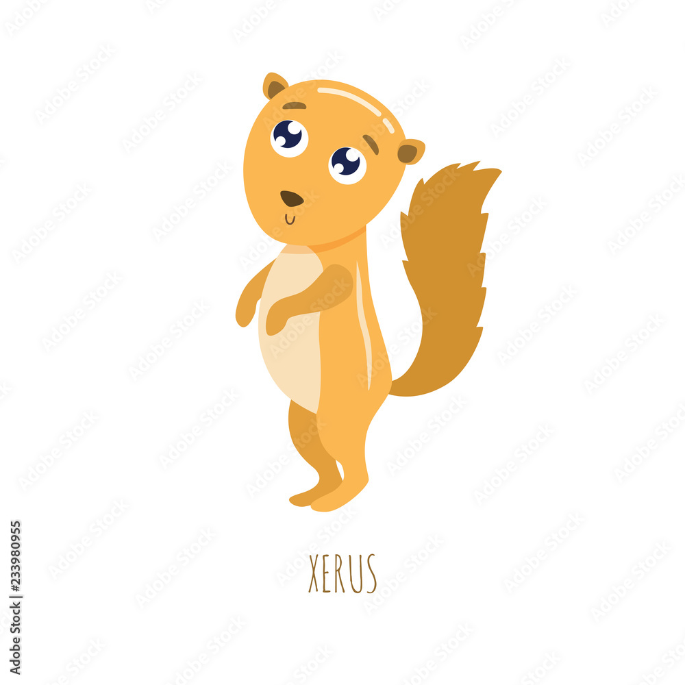 Cute cartoon xerus vector illustration. Stock Vector | Adobe Stock