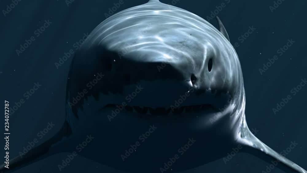 Great White Shark (Megalodon) in the Dark Depth. 3d animation. 4K Stock ...