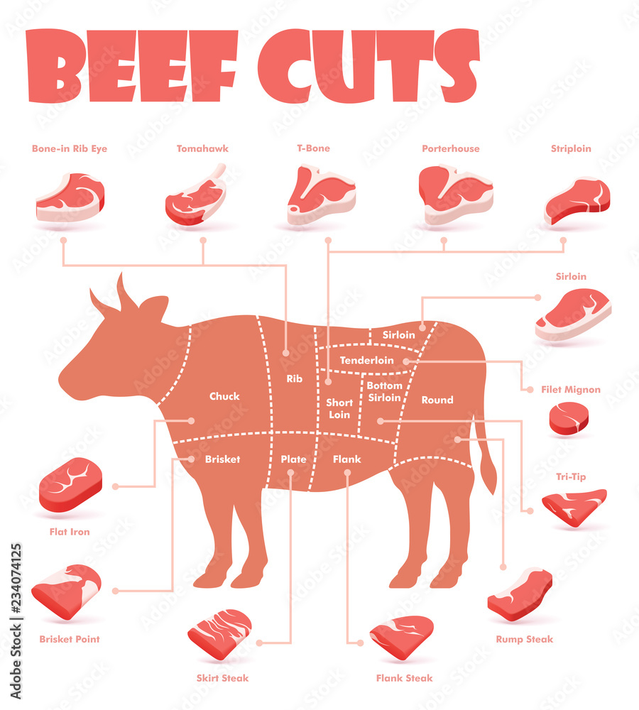 Vector beef cuts chart Stock Vector | Adobe Stock