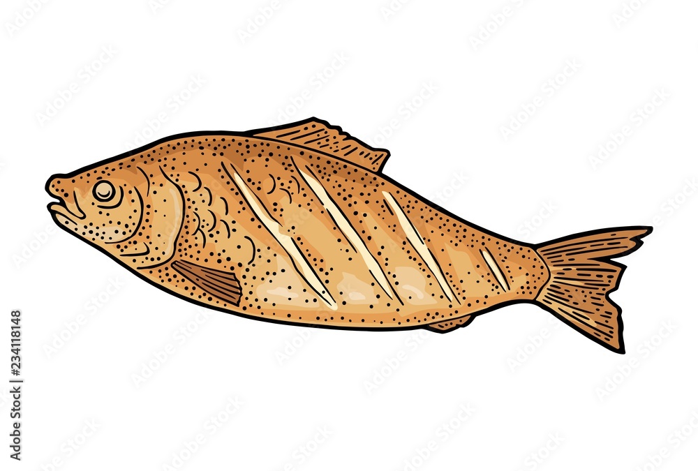 BBQ grilled whole fish top view. Vintage color vector engraving Stock ...