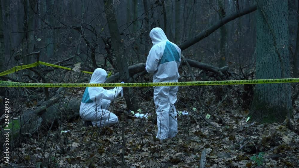 Two forensic analysts working at crime scene, collecting physical ...