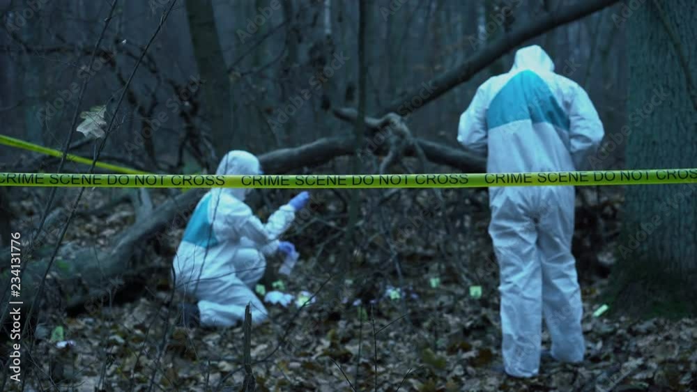 Forensic analysts collecting evidence at crime scene in forest, murder ...