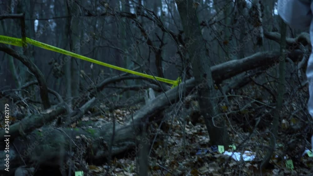 Crime scene in forest, scattered victim clothing at ground, evidence ...