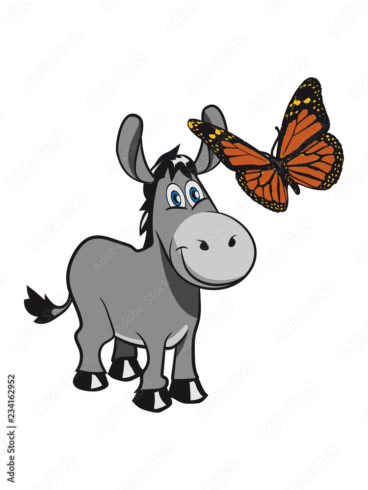 esel süss lachen tier muli lustig natur baby kind vierbeiner ...