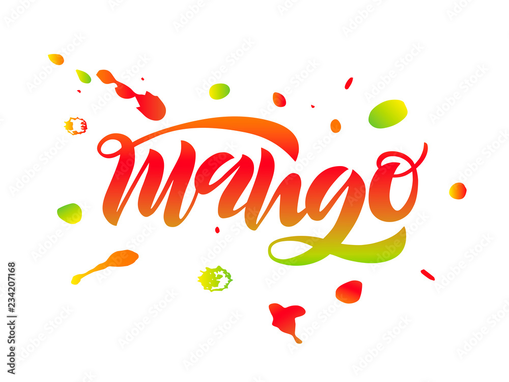 vector color illustration of handwritten lettering of mango Stock ...