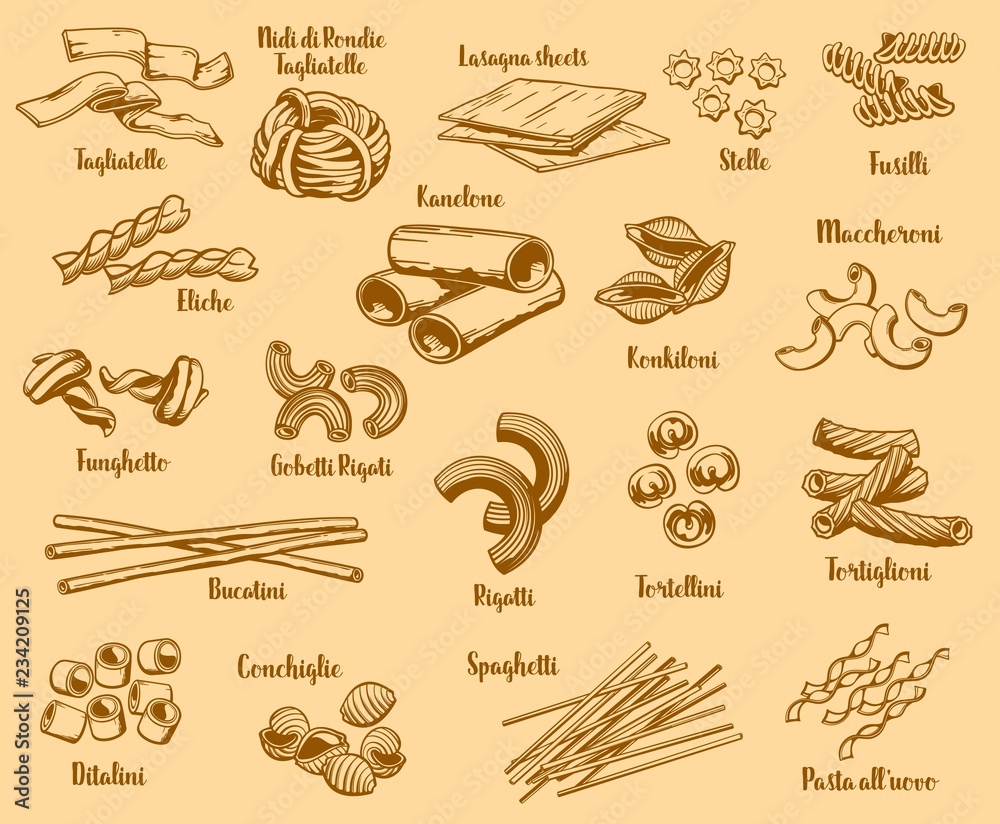 Italian pasta types and names, vector Stock Vector | Adobe Stock
