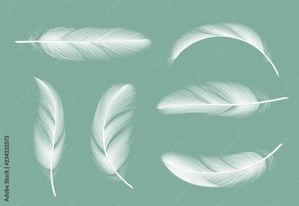 Feathers collection. Flying furry of goose vector realistic pictures ...