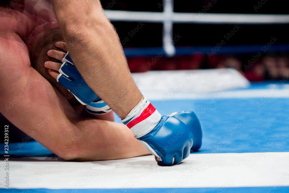 Mixed martial fighters on the ground of arena during competition. Two ...