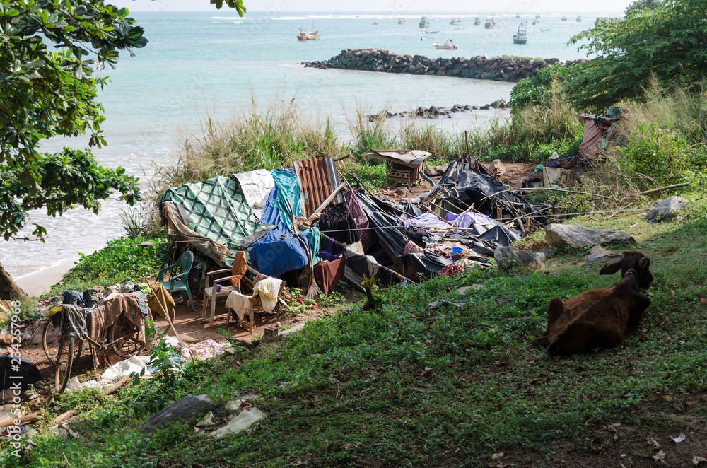 Place for life of homeless people, near beach, cow. Concept of poverty ...