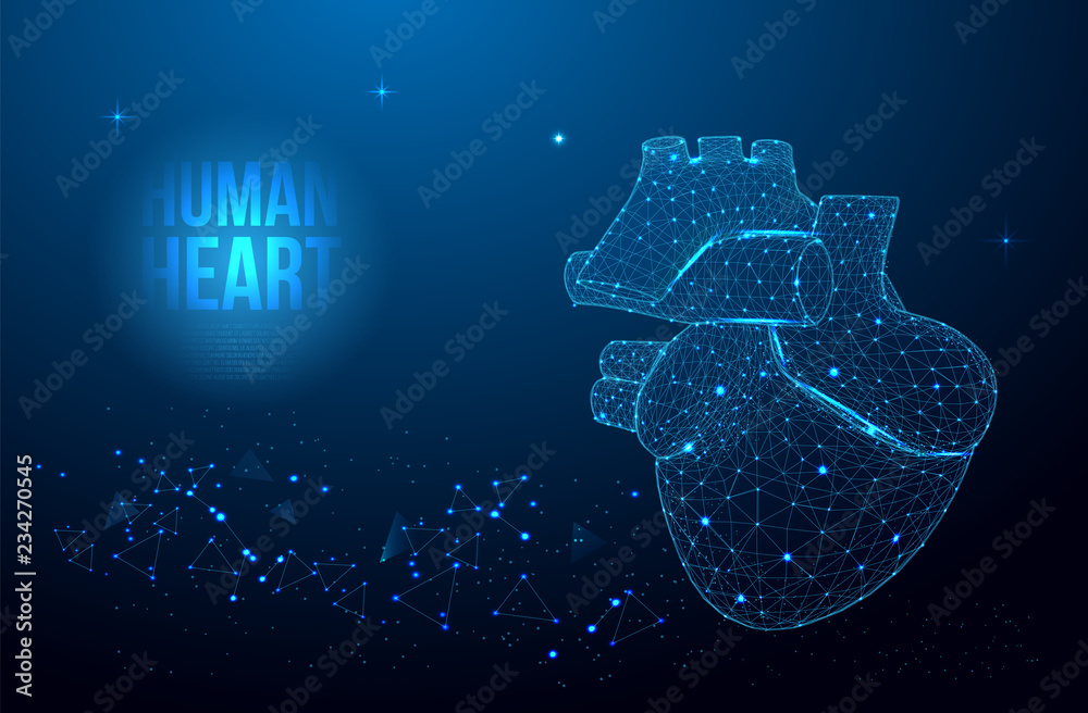 Human heart anatomy form lines and triangles, point connecting network ...
