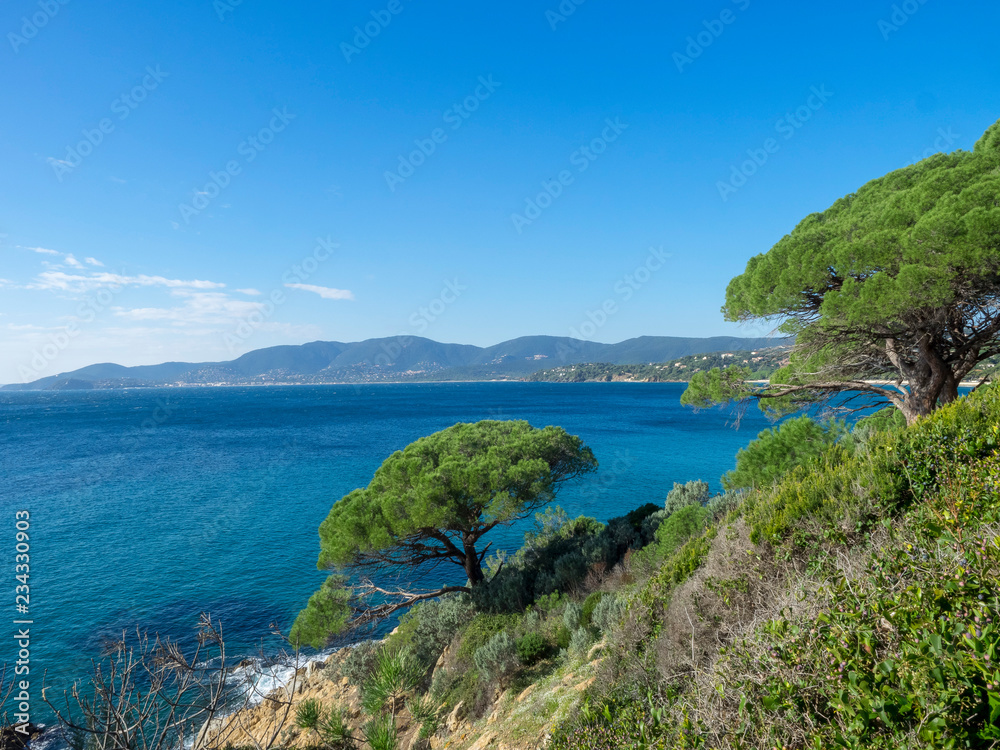 Foto de Le cap Lardier. La Croix Valmer. Le sentier du littoral bordé ...