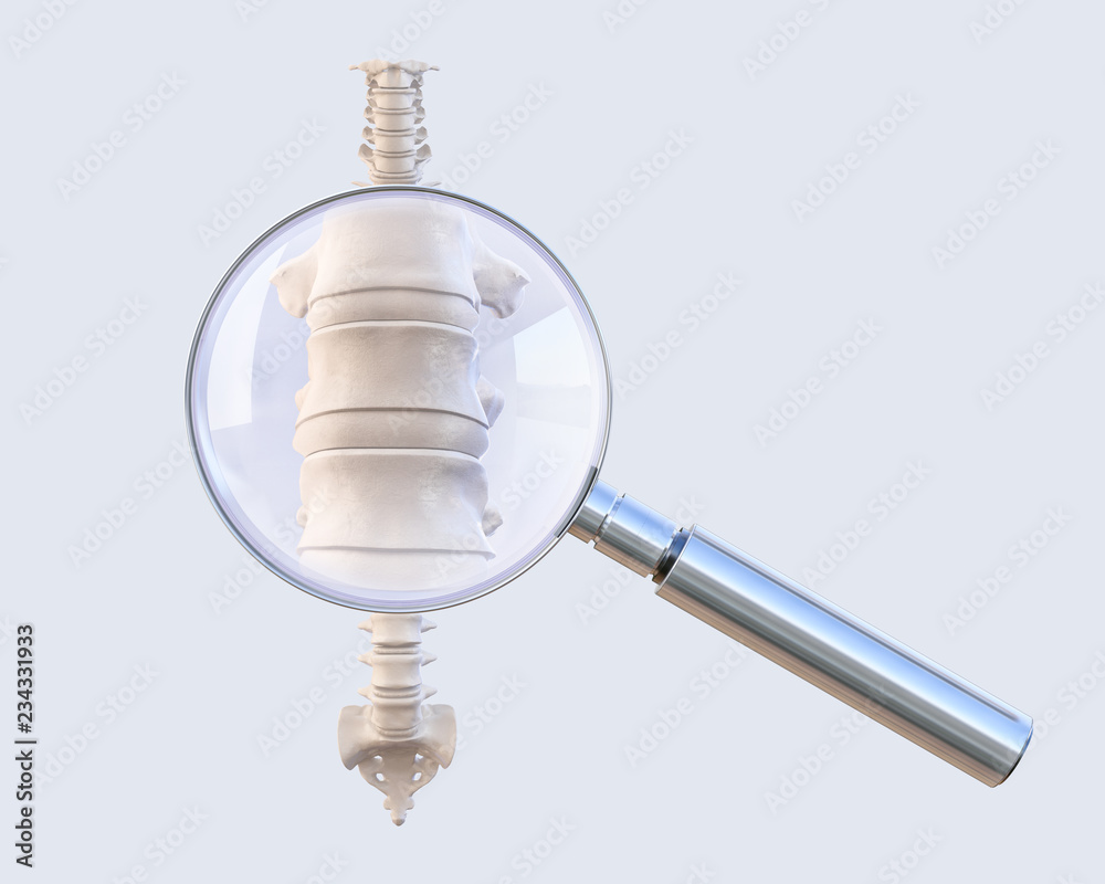 Ilustracja Stock: Human vertebrae spine anatomy through magnifying ...