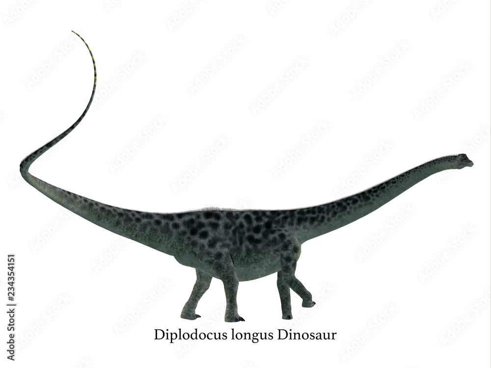 Diplodocus Dinosaur Side Profile with Font - Diplodocus was a sauropod ...
