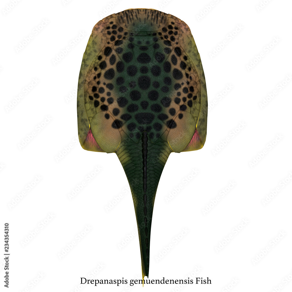 Drepanaspis