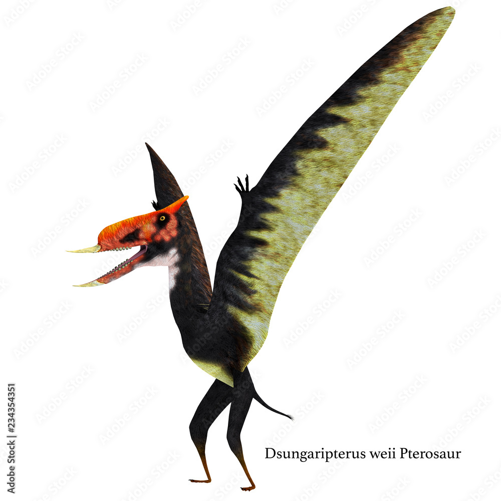 Dsungaripterus Pterosaur Standing with Font - Dsungaripterus was a ...