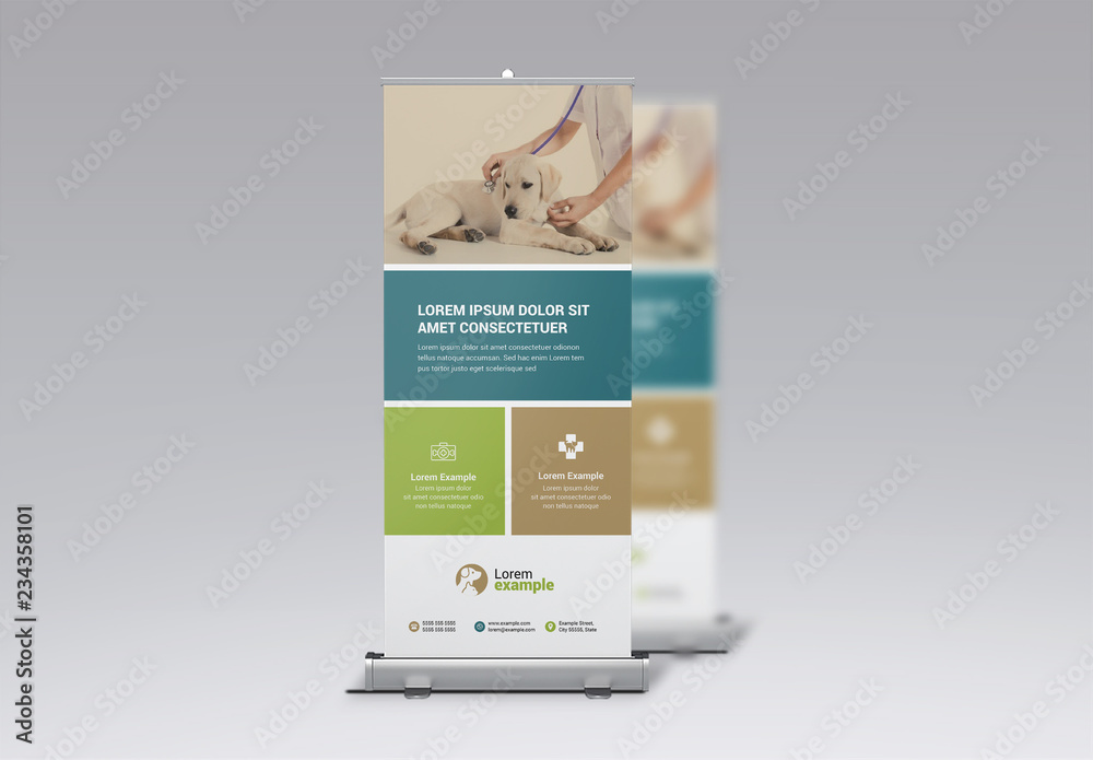 Animal Hospital Roll-Up Banner Layout Stock Template | Adobe Stock