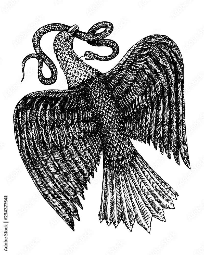 Aquila Symbol of Freedom. An eagle eating a snake. Wild predatory bird ...