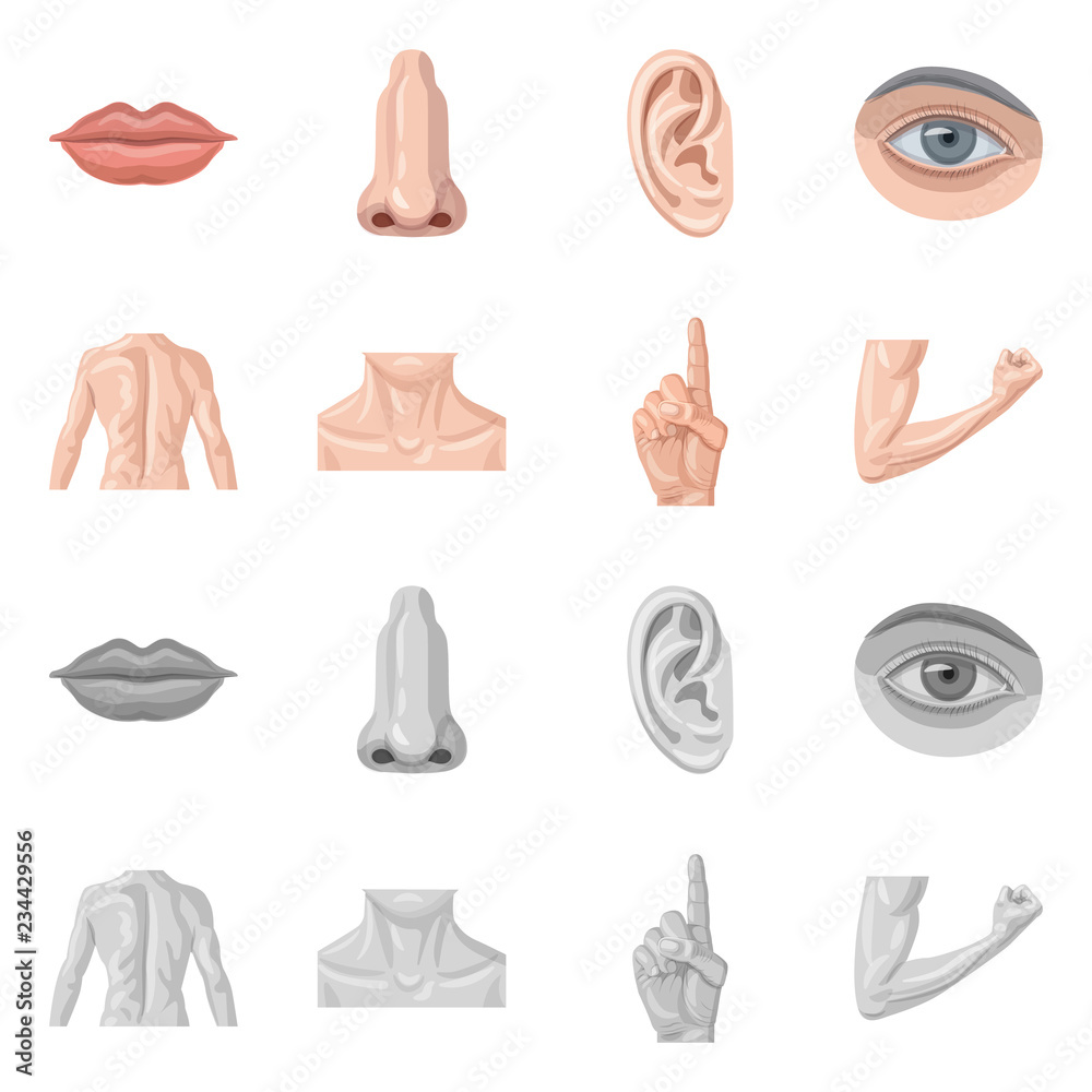 Vector illustration of human and part symbol. Set of human and woman ...