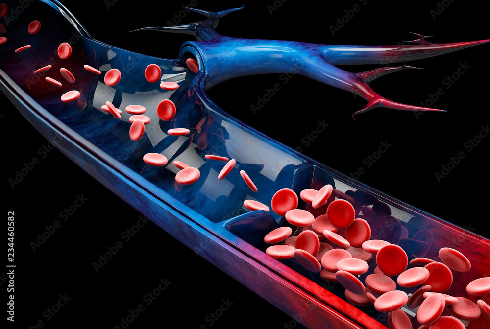 Up Close Human Veins