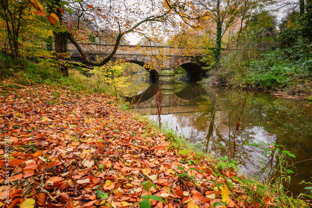 River Blyth below Hartford Bridge in Plessey Woods, a Country Park in ...
