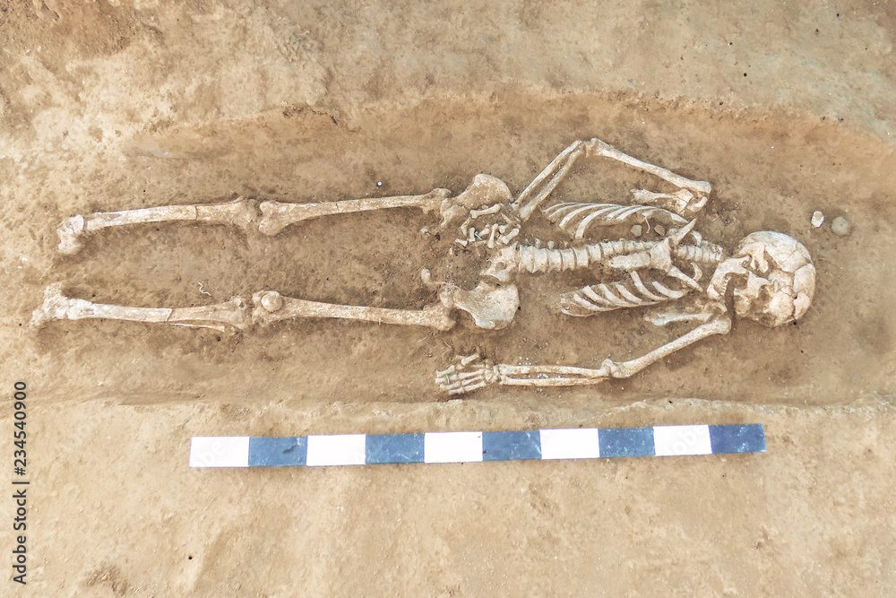 Archaeological excavations man and finds (bones of a skeleton in a ...