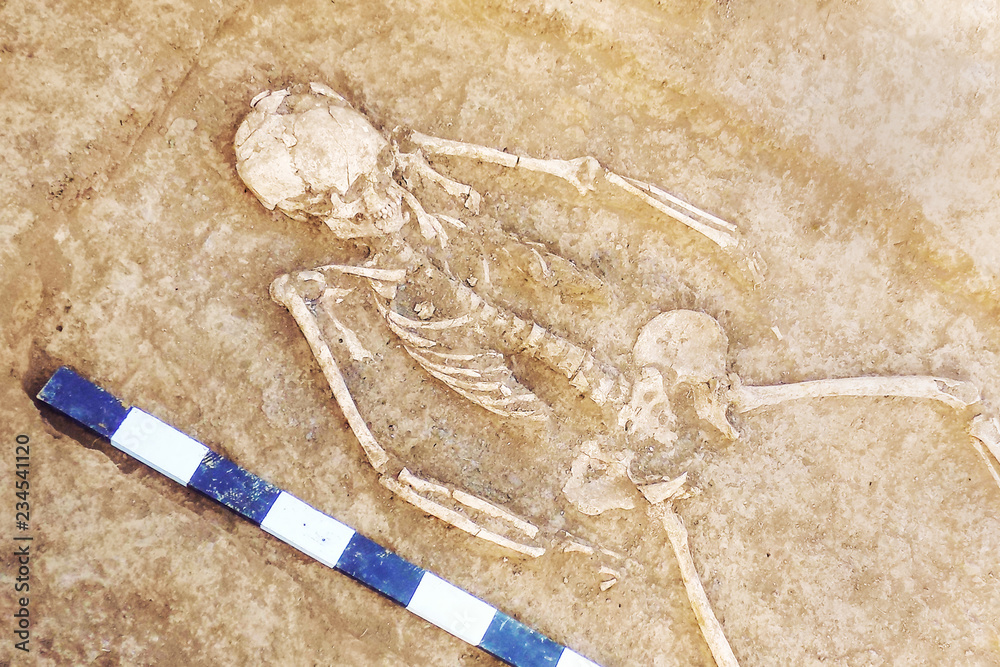Archaeological excavations man and finds (bones of a skeleton in a ...