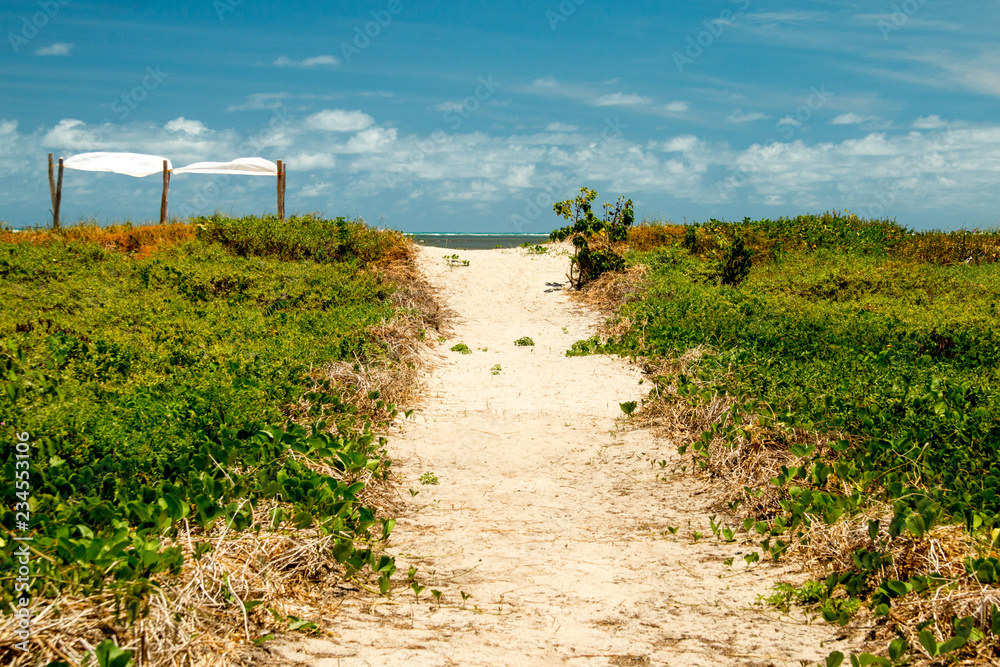 Sandy Pathway to the Beaches of Northeast Brazil Known as the Coral ...