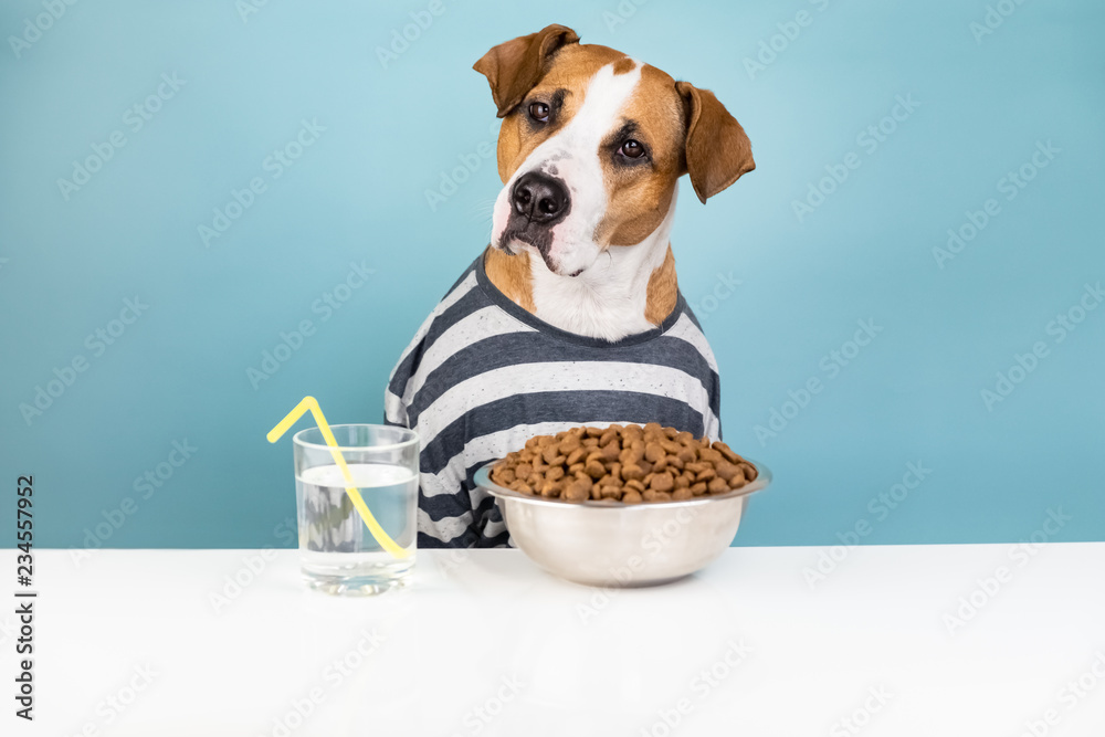What Can You Feed A Dog For Breakfast