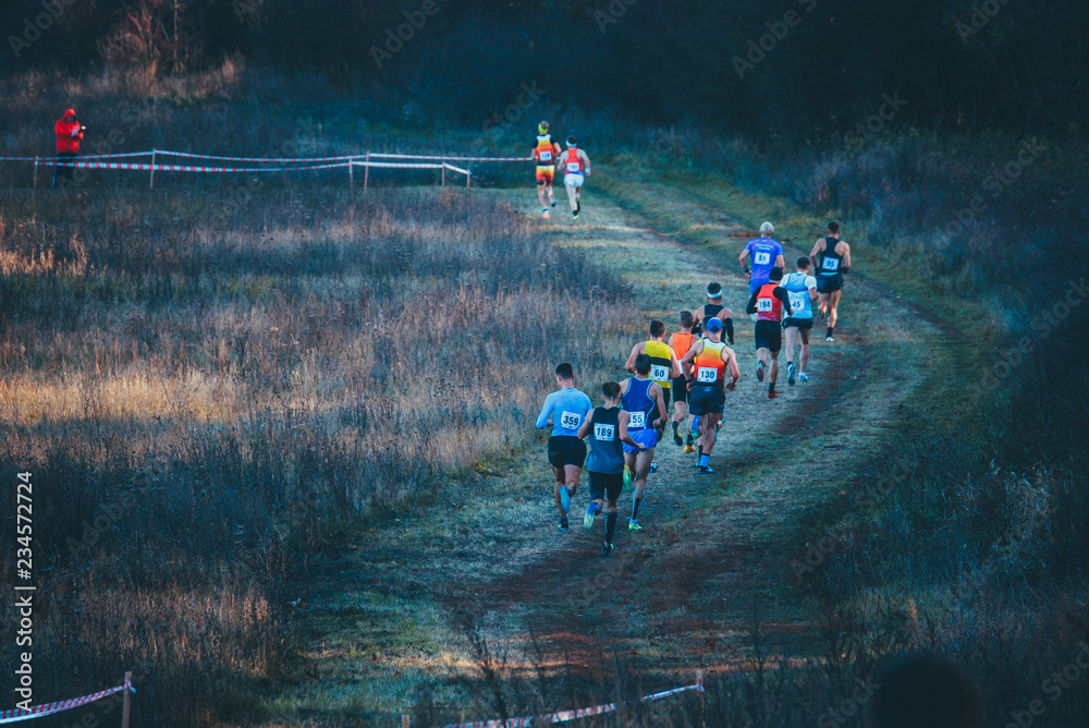 Athlete on cross country running championship in nature Stock Photo ...