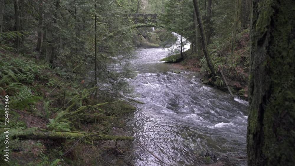 Whatcom Falls Bridge dolly shot, Bellingham, 4K UHD. Whatcom Falls roar ...