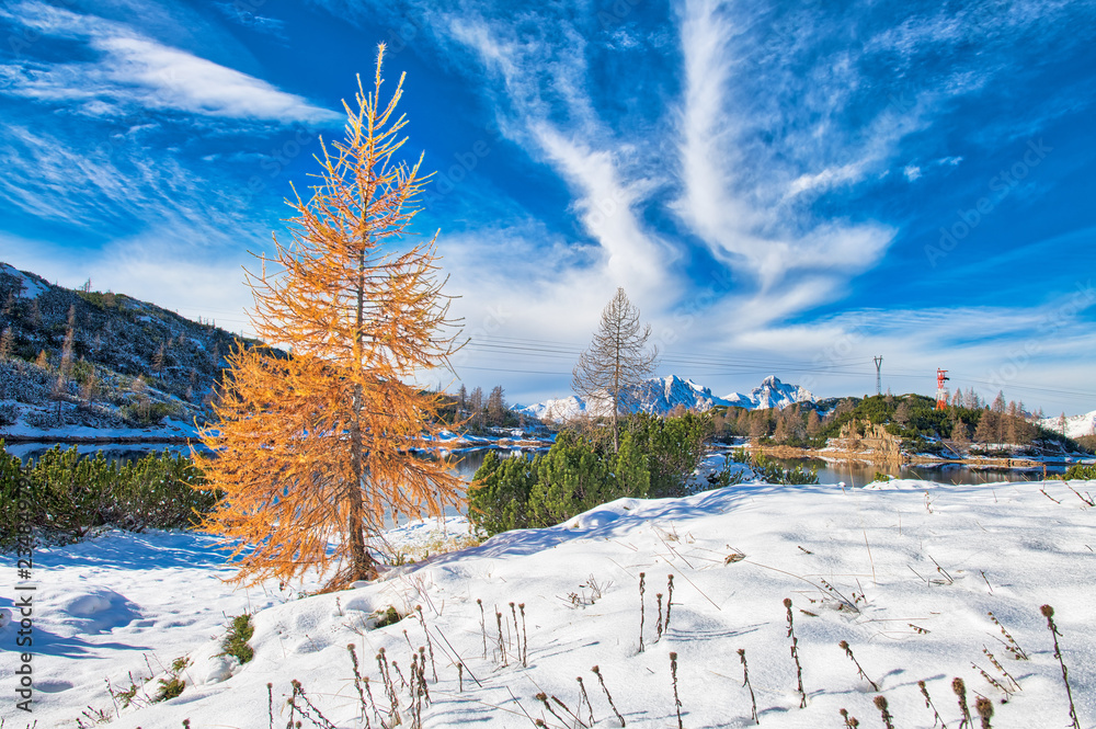 Mountain landscape with other autumn colors and the first snow Stock ...